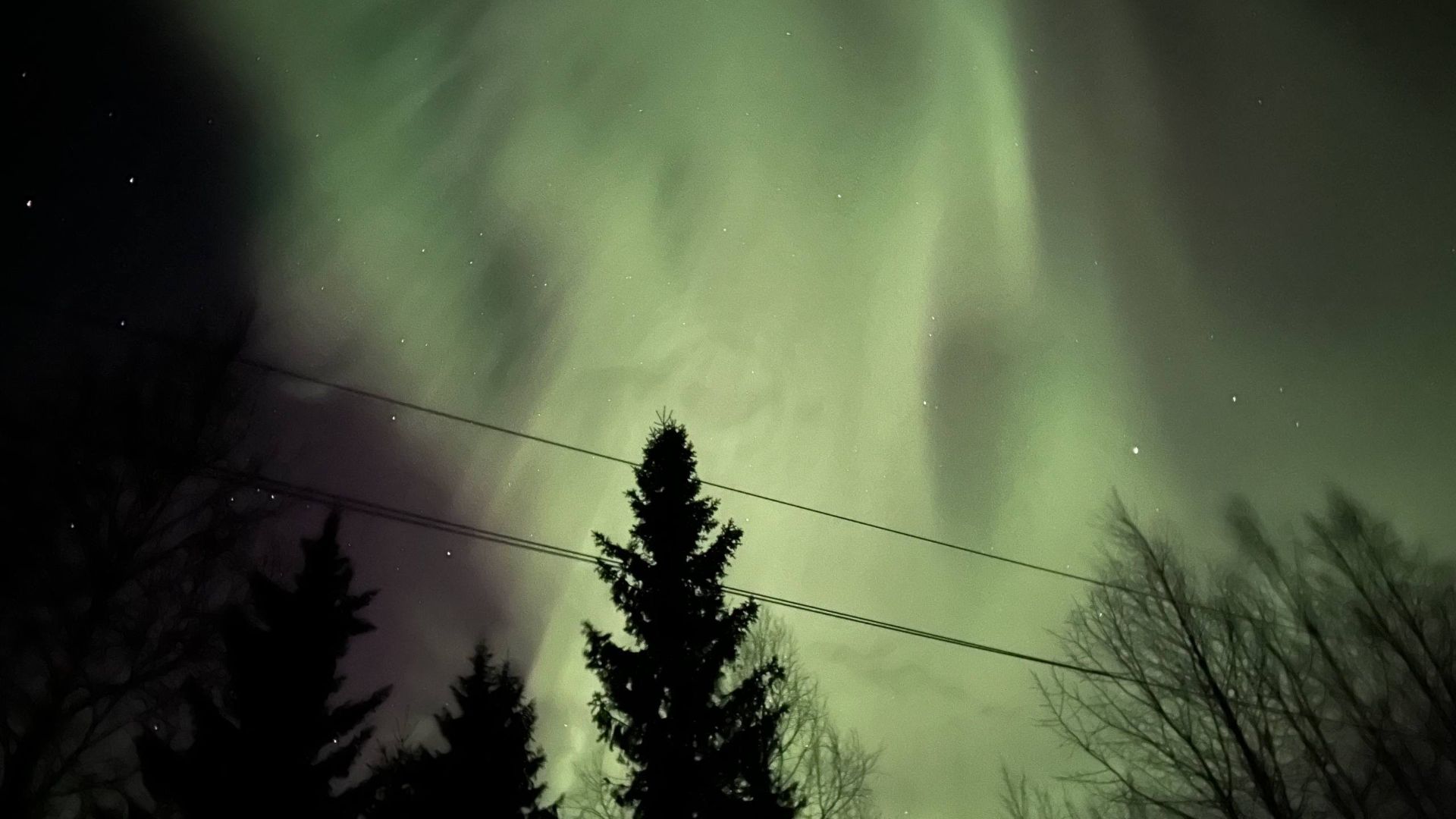 Ответ на видео Светлане из Камня!