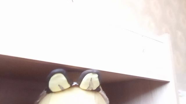 9 серия чудо 2 часть