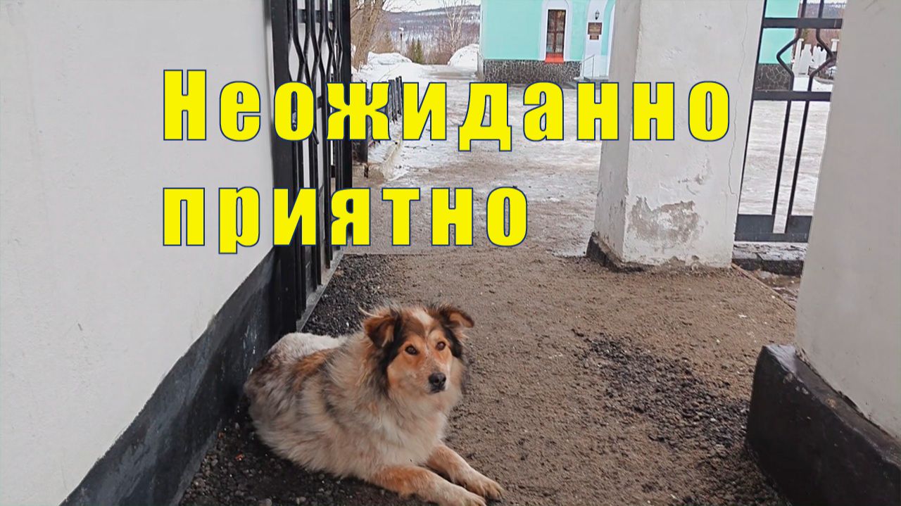 НЕОЖИДАННО И ПРИЯТНО /  НАКУПАЛИСЬ И НАГУЛЯЛИСЬ /15/ 16 /17  марта 2026