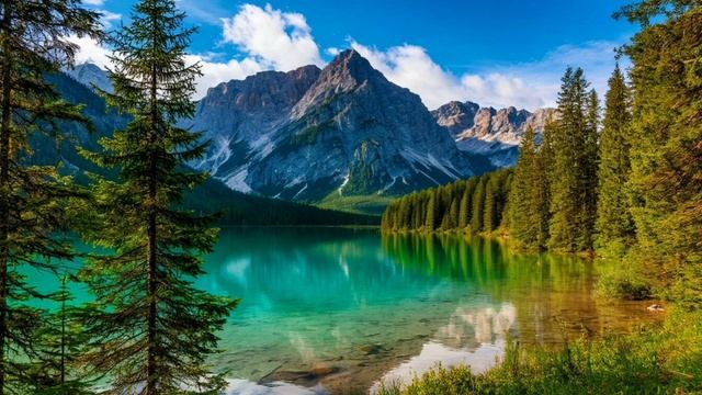 Симфония №389| Ирина Одарчук Паули