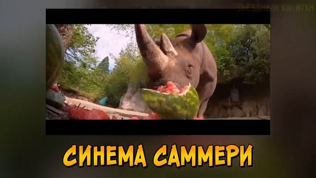 Почему НЕЛЬЗЯ ПОБЕДИТЬ Атомного Кайдзю из фильма Шин Годзилла (следуя советам КАК ПОБЕДИТЬ)