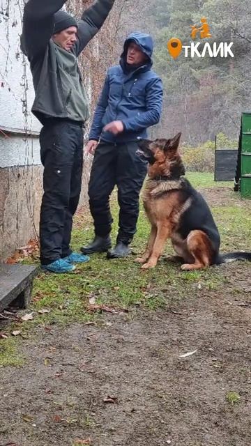 Защита в паре🖐️