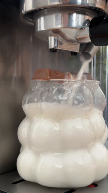 Кофеварка рожковая 2 в 1 Stonberg ProKaffee CR