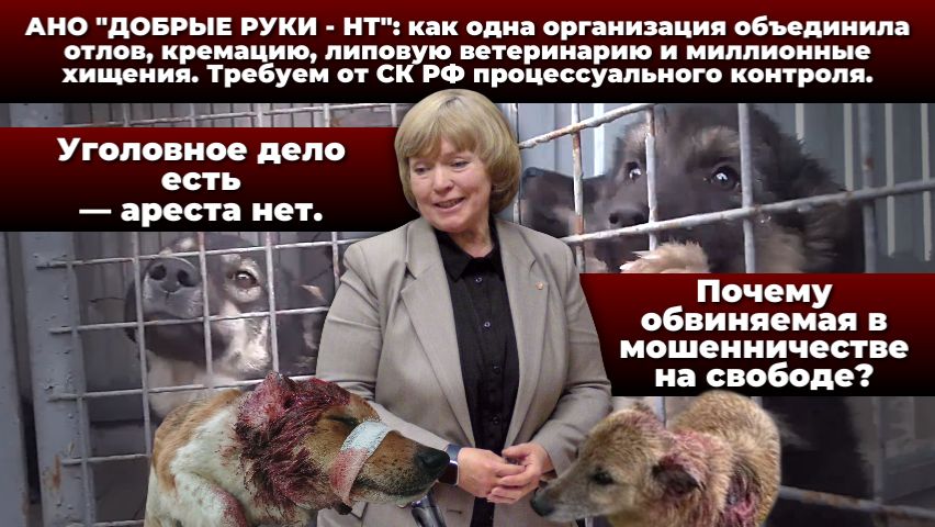 СК, вмешайтесь! Схема продолжает работать? | ВТБ настаивает на долге, защита — на хищении | КРИК-ТВ