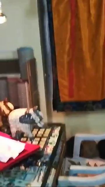 Индия, ГОА, Вагатор