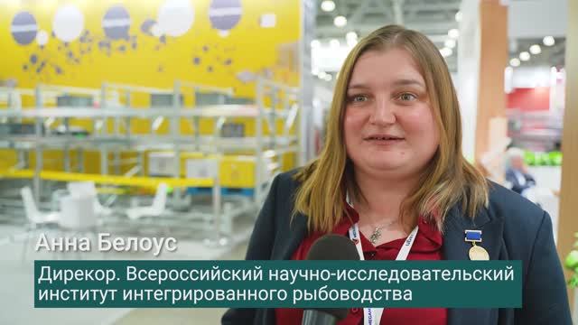 Анна Белоус о выставке