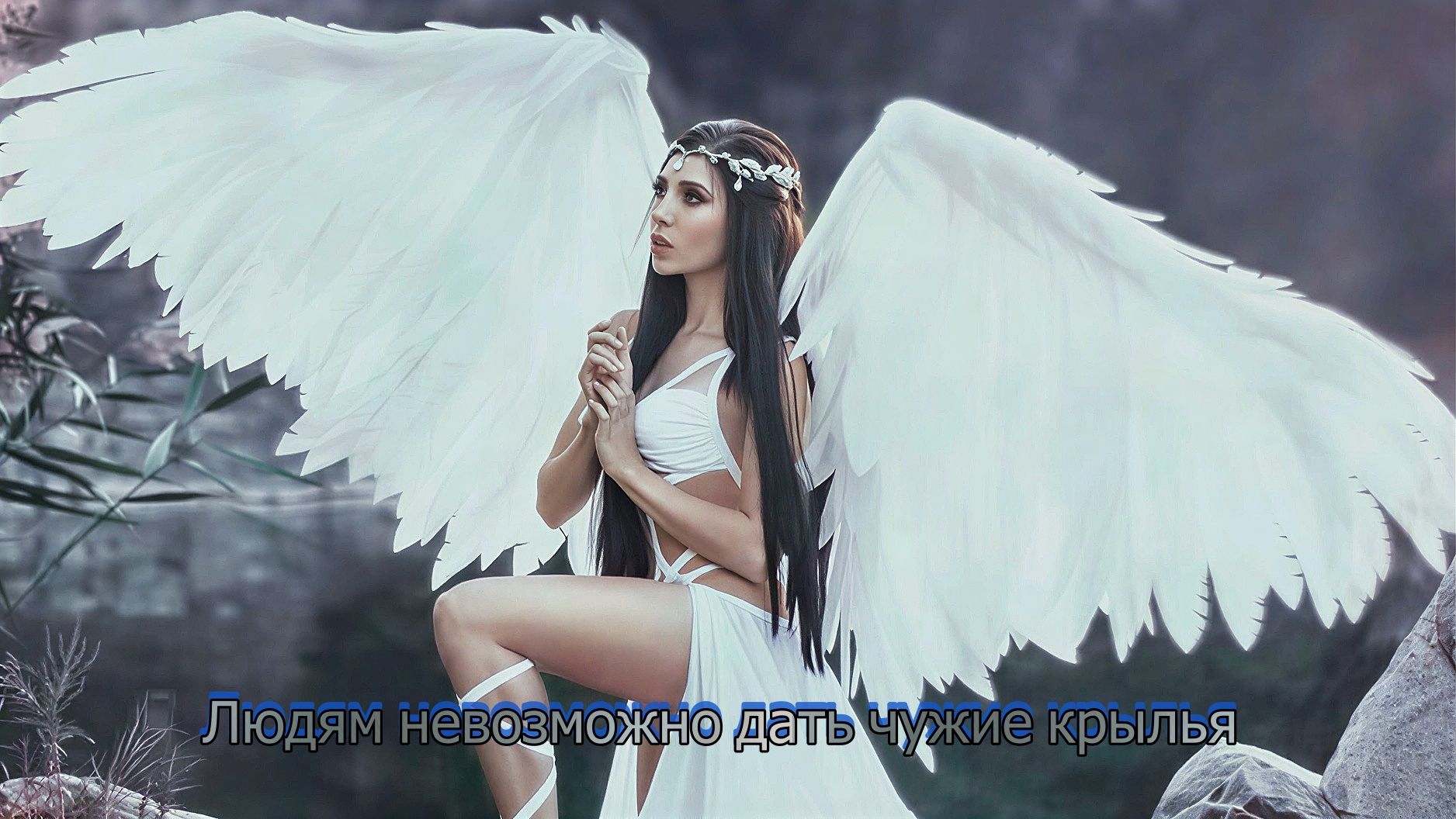 Людям невозможно дать чужие крылья  *