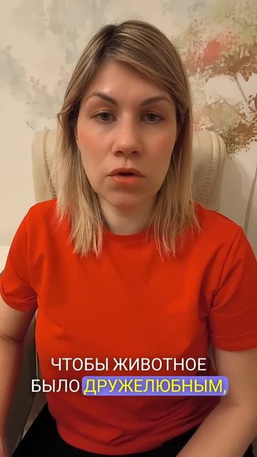 Стрелец. Знаки зодиака и домашние животные