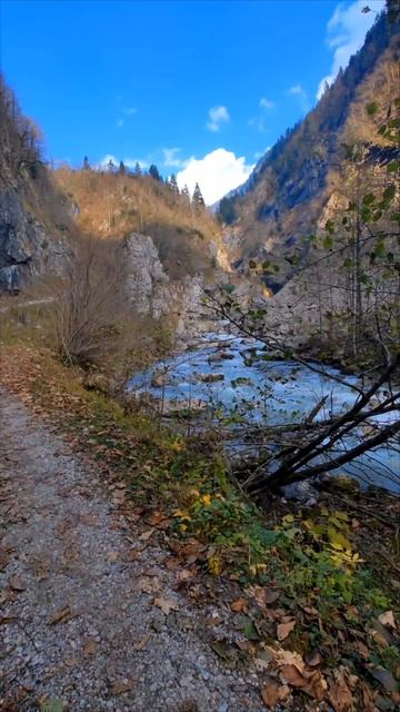 Bajaj Boxer. Мотоцикл проверенный дорогой и временем