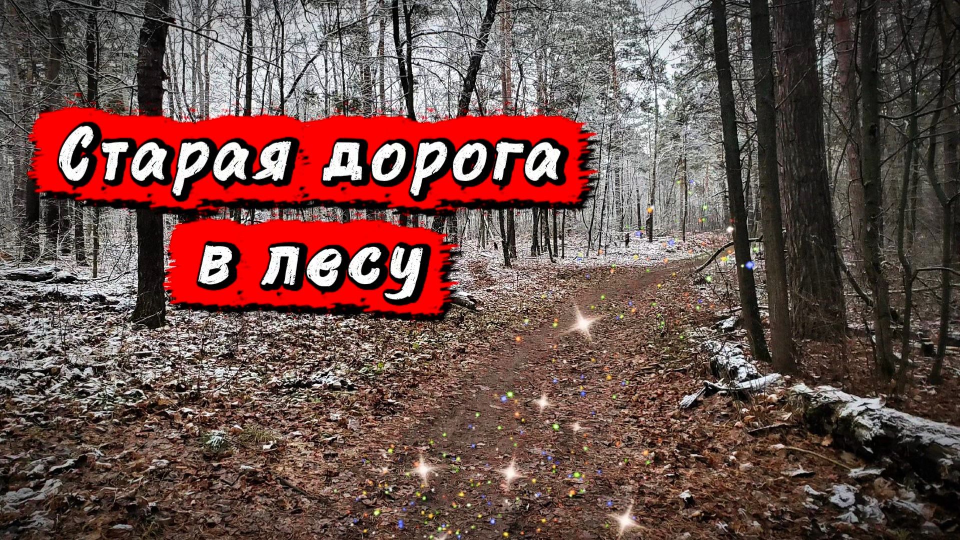 Нашёл продолжение старой лесной дороги.