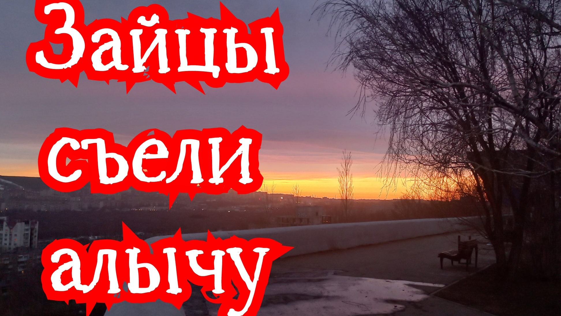 Первая вылазка на дачу. Зайцы съели алычу 25.03.2026