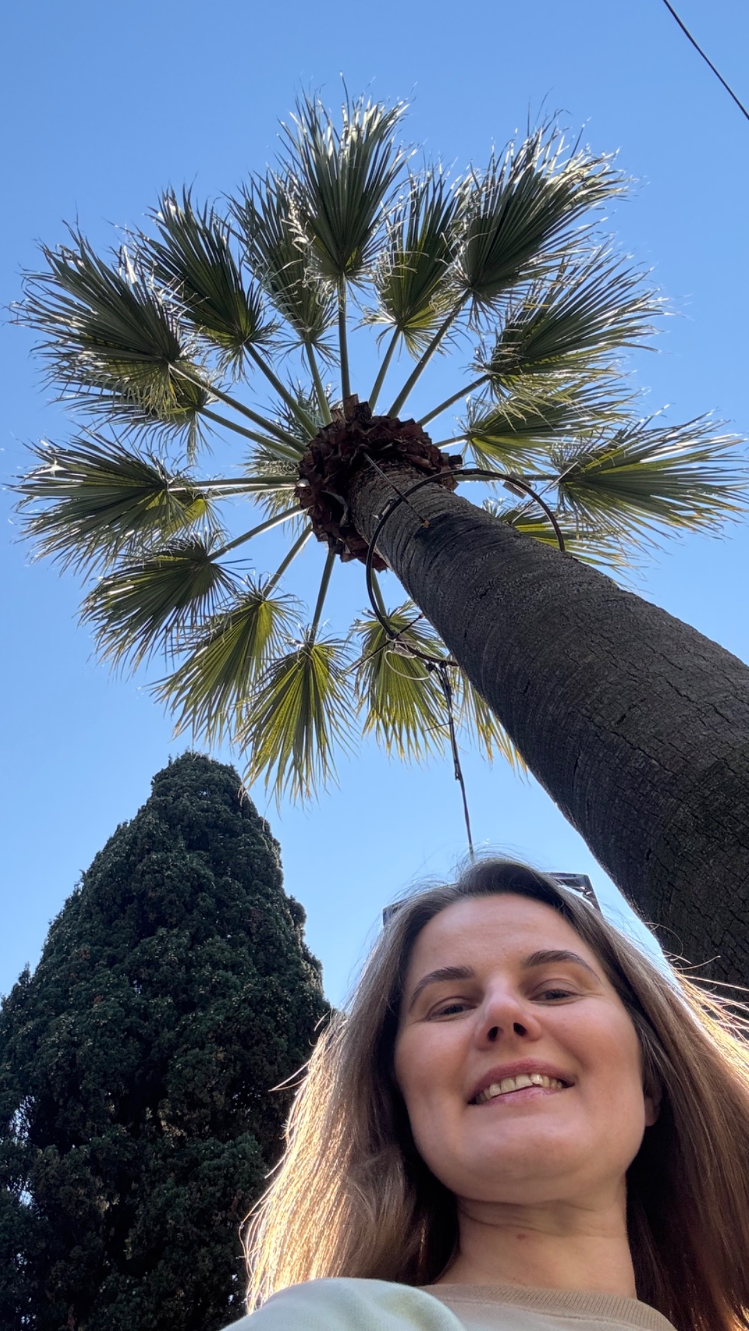 СОЧИ 2026 обстановка