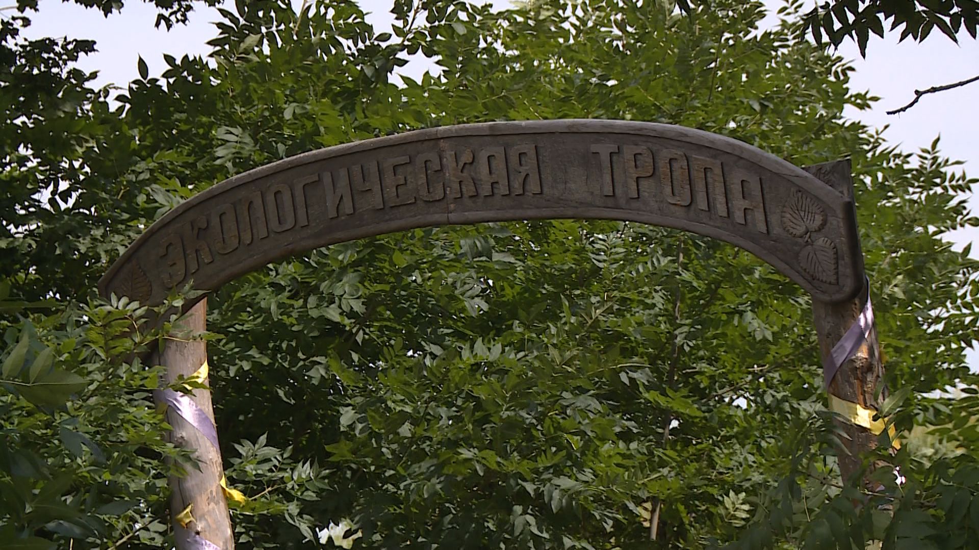 Ставропольских браконьеров активно ловят на горе Стрижамент