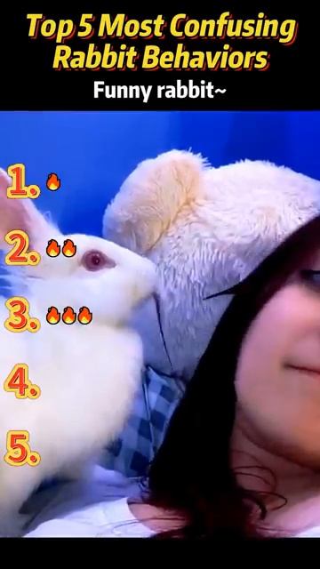 СМЕШНЫЕ КРОЛИКИ 😂 Угарные моменты с пушистыми 🐰 Приколы 2026 🔥