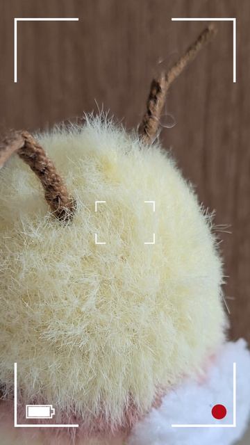 Шмель мохнатый ☺️