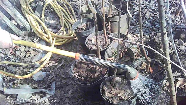 Обзор другого края шланга и получение задания на полив