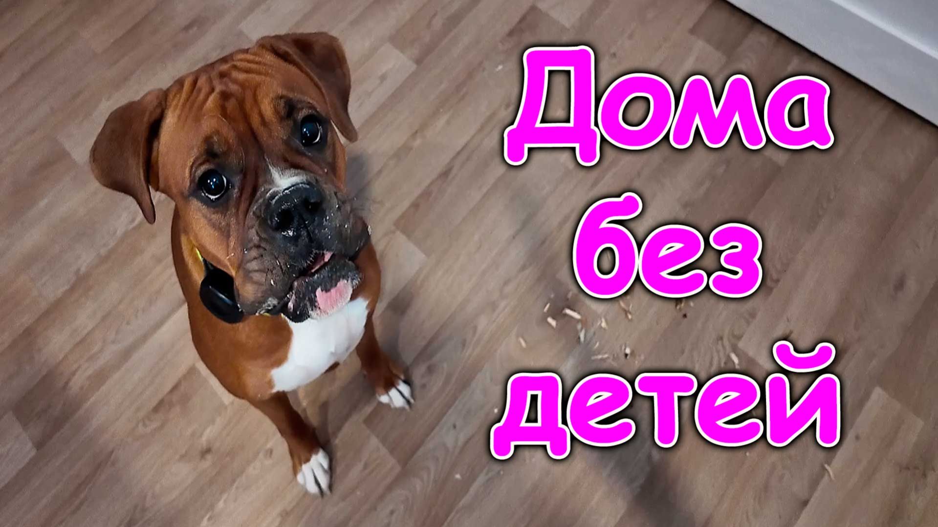 Дети уехали к папе на выходные. Чем занималась. (03.26г.) Семья Бровченко.