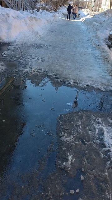 №1867 ул. Полины Осипенко. 24 марта 2026 г., 14:38:59 VID_20260324_143658815