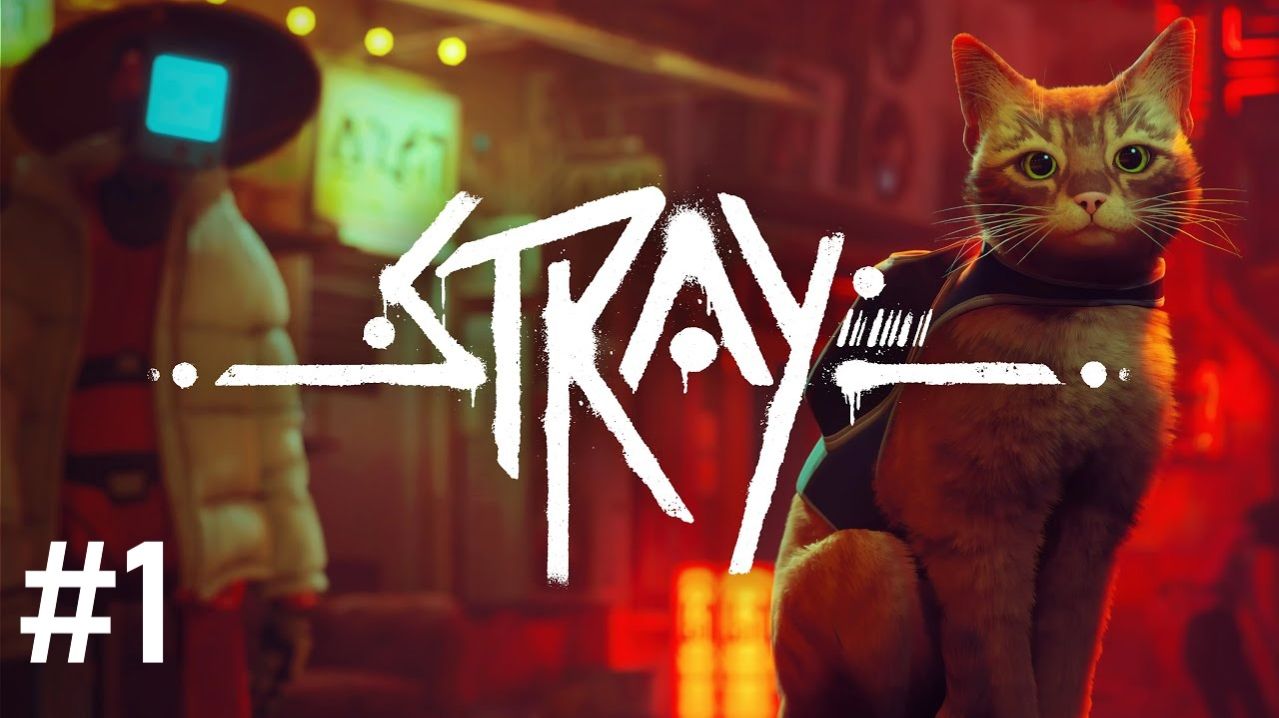 #Stray 1. Котики и конец света!