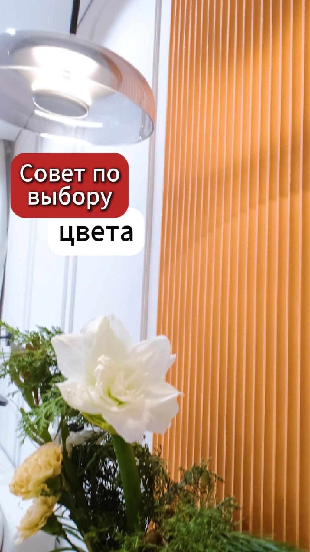 Сначала кухня, потом стены — и никак иначе!