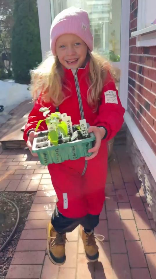 Позитива вам в ленту! Пикировка черенков петунии в веселой компании 🐓