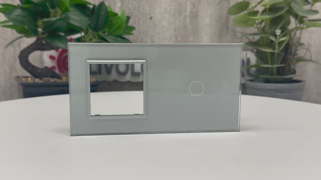Панель для розетки и сенсорного выключателя Livolo, цвет серебристый, BB-C7-SR/C1-20