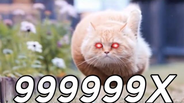 МЕМНЫЙ КРУТЯЩИЙСЯ КОТ, ЛЕТЯЩИЙ СО СКОРОСТЬЮ Х 999999 РЕАКЦИЯ