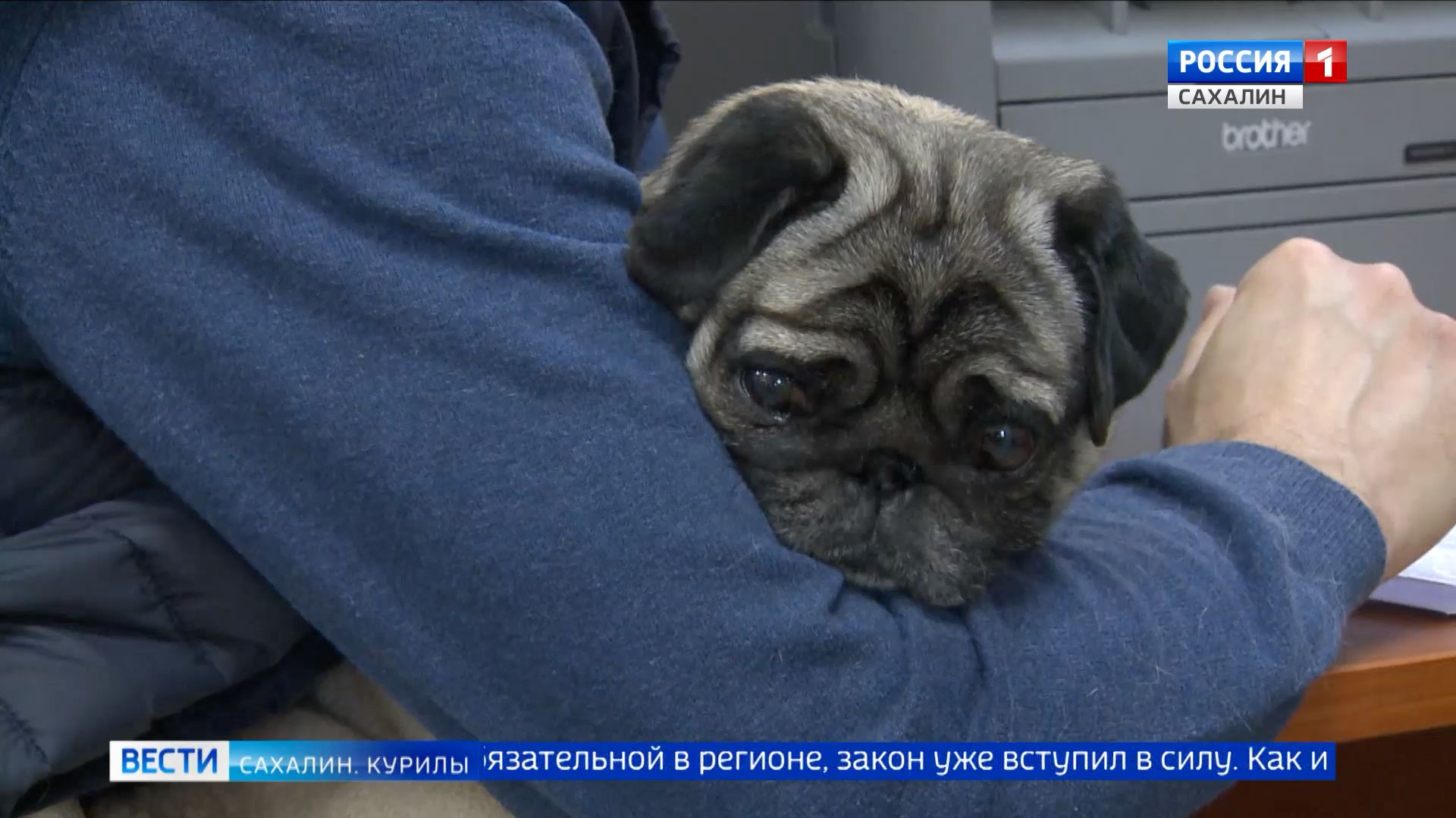 "Вести. Сахалин. Курилы". 24 марта 2026 года