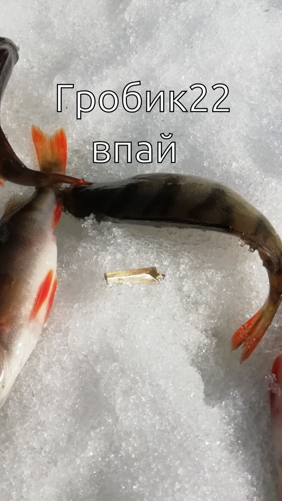 Зимняя блесна Гробик22