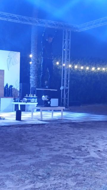 Эквилибрист