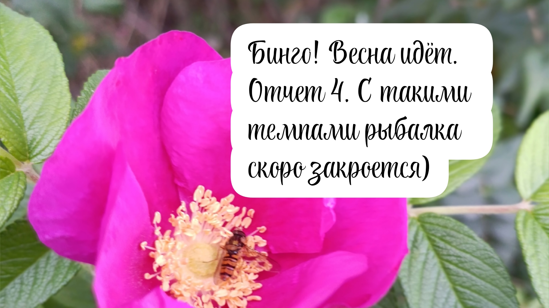 Бинго! Весна идёт. Вязальная активность от "Вязание- это серьёзно". Отчет 4. Рыбалка и зеленый рулят
