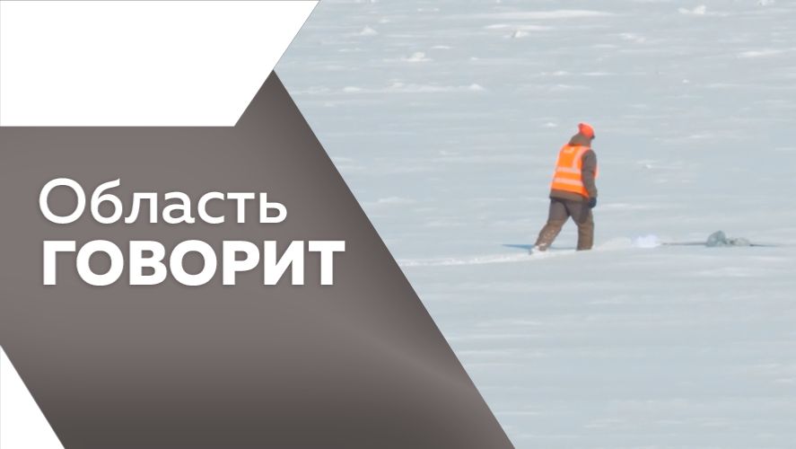 Область говорит №239