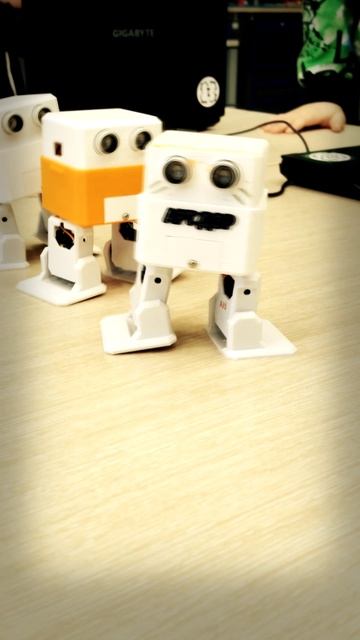 Роботы ОттО