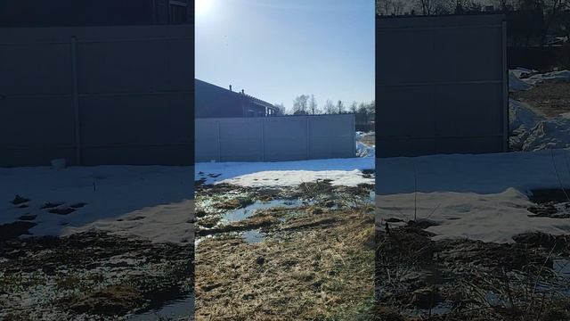 4) г.о. ИСТРА, д.Ленино (станция Снегири) 25.03.2026