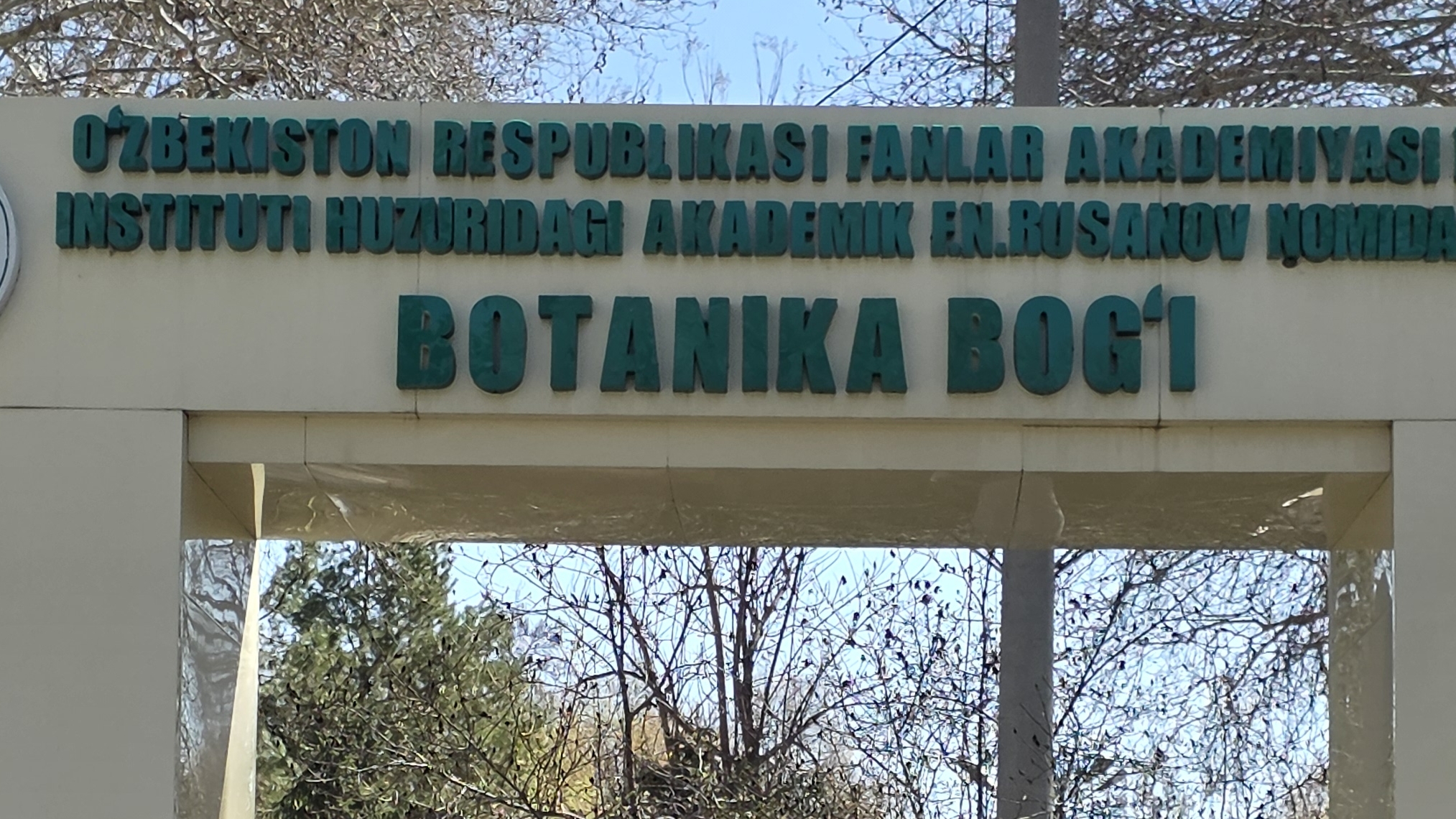 Ботанический сад в Ташкенте оказался просто парком, Узбекистан