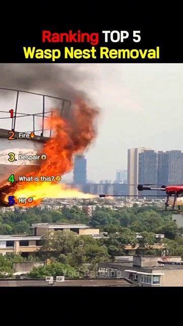 ТОП-5 УДАЛЕНИЙ ОСИНЫХ ГНЕЗД 😱 Безумные способы и эпичные провалы 🔥 Ранки 2026