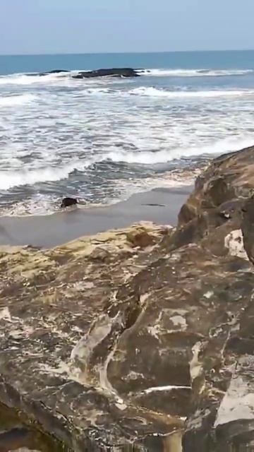 Индия, ГОА, Вагатор