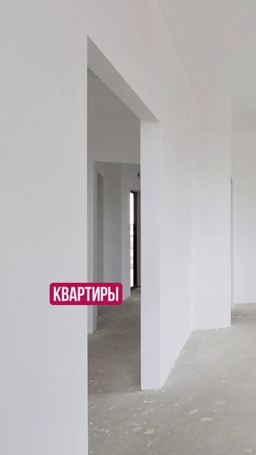 Цена квартиры в Приморском районе СПб