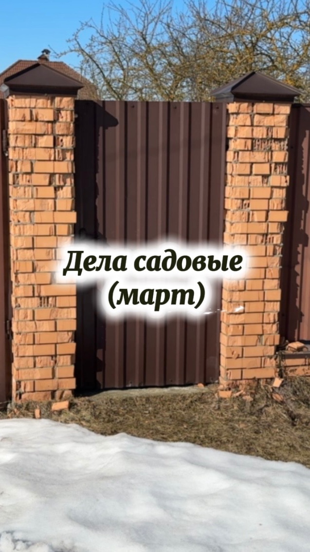 Открываем сезон