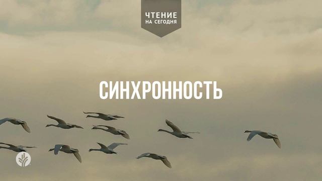 СИНХРОННОСТЬ  | АУДИО |	23	  апреля 2026