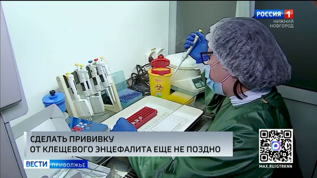 Роспотребнадзор напоминает о мерах профилактики клещевого энцефалита