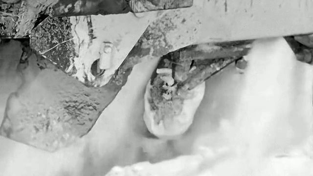 1977 год. Заводоуковский район. Очистка полей от кустарника