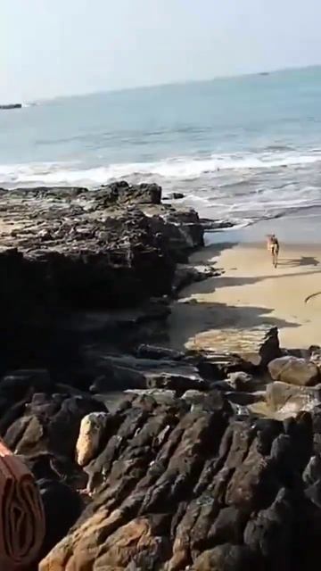 Индия, ГОА, Вагатор