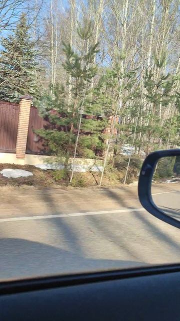 1) г.о. ИСТРА, д. Манихино, 25.03.2026