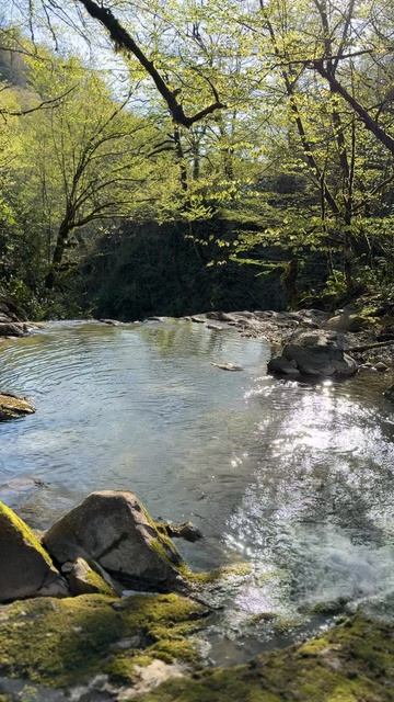 Хайкинг - Прогулки по живописным маршрутам