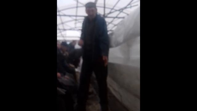 Виноград в теплице. 2017 апрель. Троицкий Владислав. Часть 2