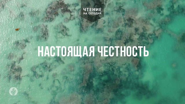 НАСТОЯЩАЯ ЧЕСТНОСТЬ  | АУДИО |	1 	  апреля 2026