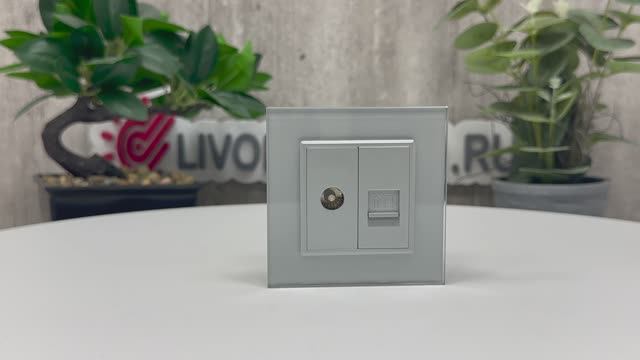 Розетка ТВ-Компьютер LIVOLO серебро, VL-C791VC-20