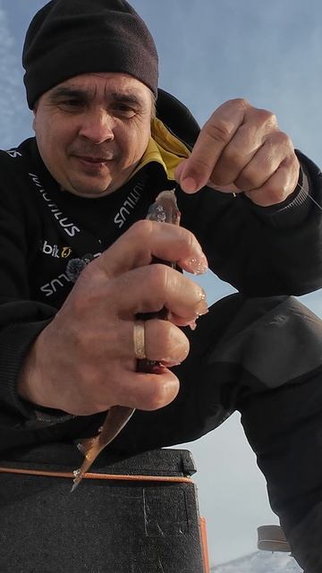 Хватает на опускание