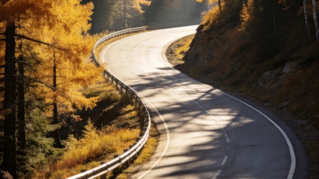 Золотая осенняя тайга Алтая